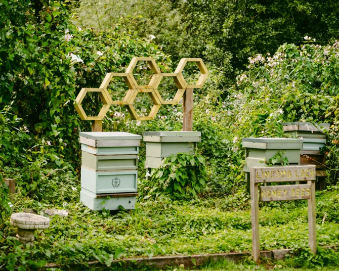 Lincomb Lock Caravan Park | Hillandale Caravan Parks