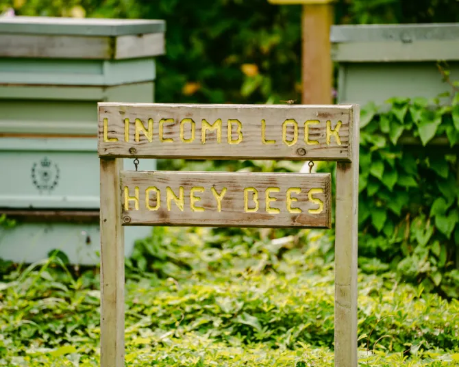 Lincomb Lock Caravan Park | Hillandale Caravan Parks